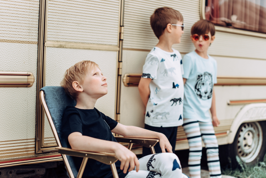 Tigers and koalas in the new collection by «Hebe» ← FOLD